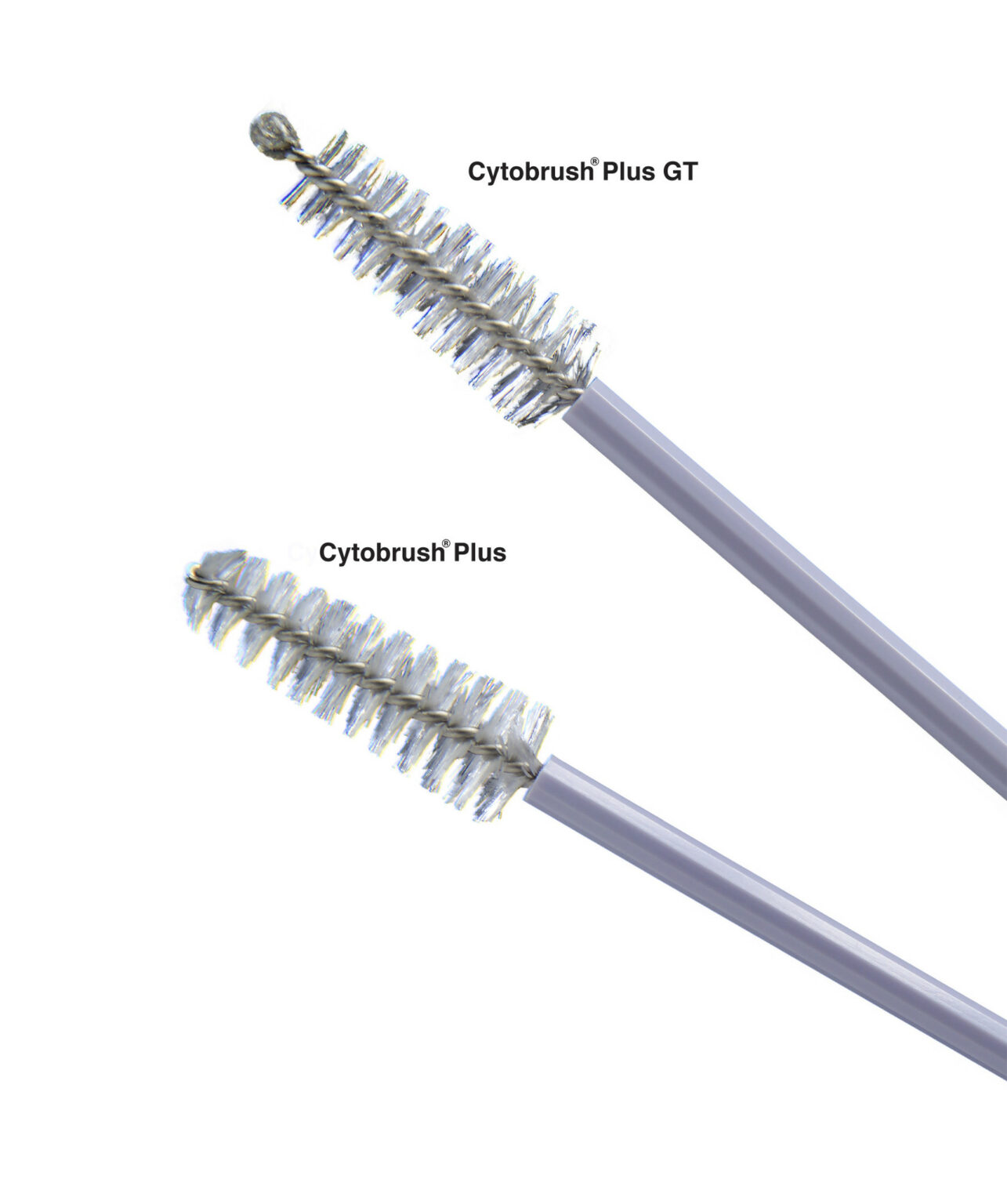 Cytobrush Plus GT papaharja, yksittäinpakattu, steriili, 40 kpl ...